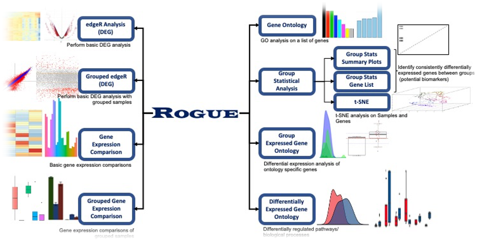 ROGUE
